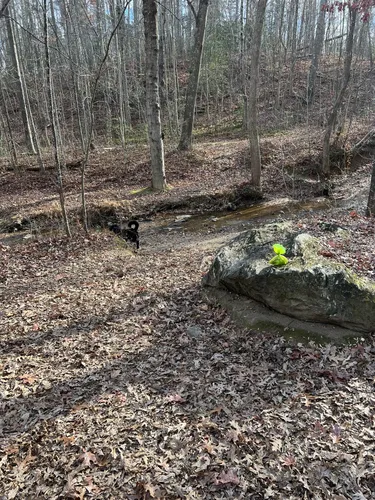 Best Hikes and Trails in Little Difficult Run Valley Park | AllTrails