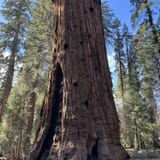 General Sherman Tree Trail, California - 2,720 Reviews, Map | AllTrails