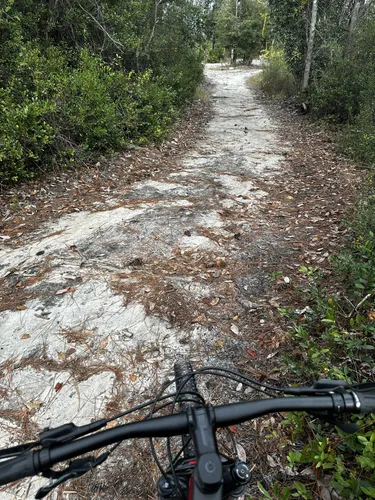 Best Hikes and Trails in Lynn Haven Bayou Preserve and Park | AllTrails