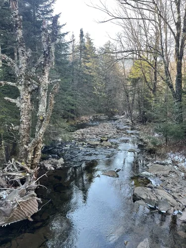 Best Hikes and Trails in Colgate Lake Wild Forest | AllTrails