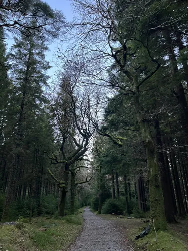 2023 Best Cave Trails in Killarney National Park | AllTrails