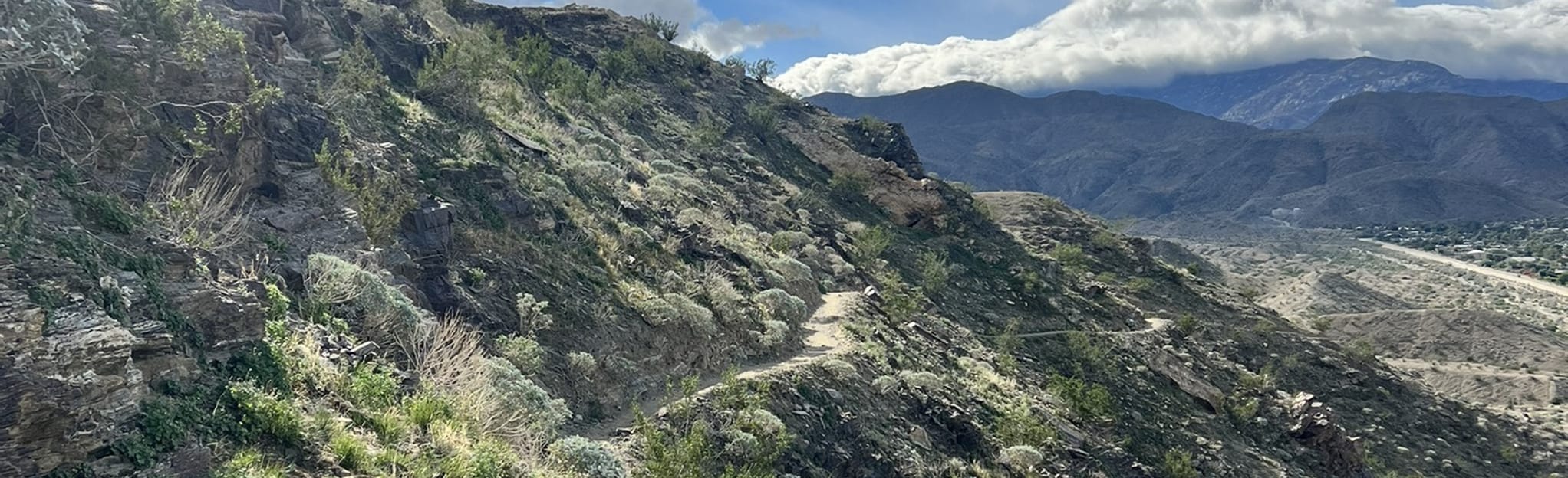 Chuckwalla Trail Loop, California - 379 Reviews, Map | AllTrails