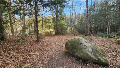 Best Hikes and Trails in Bob's Way Reserve | AllTrails