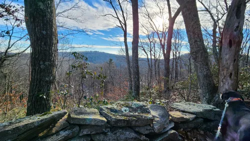 Best Hikes and Trails in Bob's Way Reserve | AllTrails