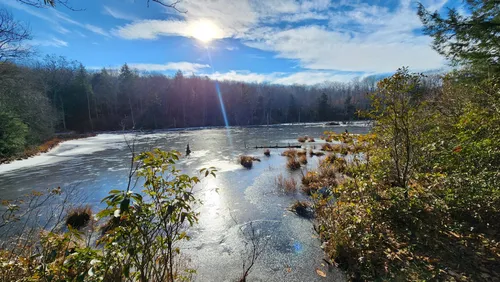 Best Hikes and Trails in Bob's Way Reserve | AllTrails