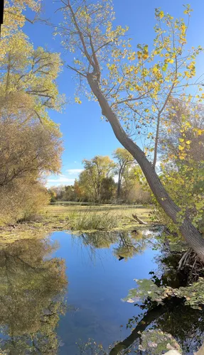 Best Hikes and Trails in Shadow Cliffs Regional Recreation Area | AllTrails