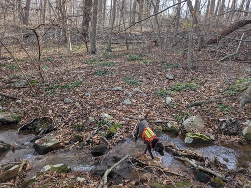 Best Hikes and Trails in Dickerson Mine Preserve | AllTrails