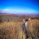 Black Balsam Knob via Art Loeb Trail, North Carolina - 2,206 Reviews ...