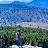 Black Balsam Knob via Art Loeb Trail, North Carolina - 2,206 Reviews ...