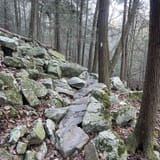 Fiery Gizzard Trail to Raven's Point, Tennessee - 1,157 Reviews, Map ...