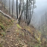 Oneonta Trail and Gorge Trail (Short Option), Oregon - 672 Reviews, Map ...