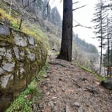 Oneonta Trail and Gorge Trail (Short Option), Oregon - 672 Reviews, Map ...