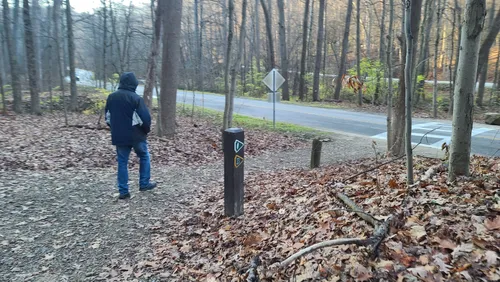 Best Hikes and Trails in F.A. Seiberling Nature Realm | AllTrails