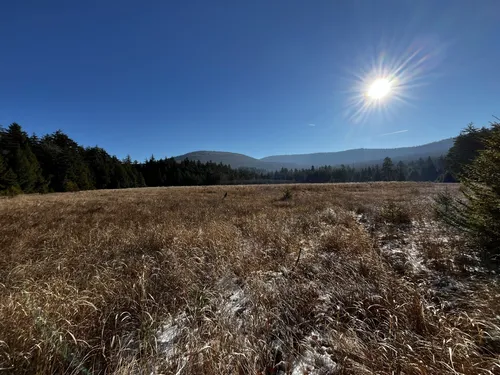 Best Hikes and Trails in Colgate Lake Wild Forest | AllTrails