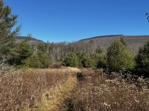 Best Hikes and Trails in Colgate Lake Wild Forest | AllTrails