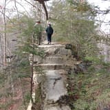 Pine Hills Nature Preserve Trail, Indiana - 900 Reviews, Map | AllTrails