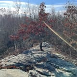 Leatherman Cave and Crane's Lookout Trail, Connecticut - 885 Reviews ...