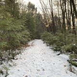 Western Ridge Trail to Overlook, New York - 677 Reviews, Map | AllTrails