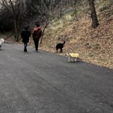 Memory Grove Trail, Utah - 1,278 Reviews, Map | AllTrails