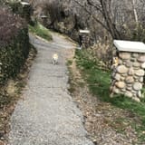 Memory Grove Trail, Utah - 1,278 Reviews, Map | AllTrails