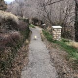 Memory Grove Trail, Utah - 1,278 Reviews, Map | AllTrails
