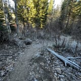 Hunter Creek Trail, Nevada - 4,262 Reviews, Map | AllTrails