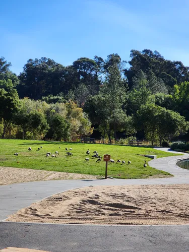 Best Hikes and Trails in Don Castro Regional Recreation Area | AllTrails