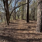 Jones Bridge Trail , Georgia - 2,495 Reviews, Map | AllTrails