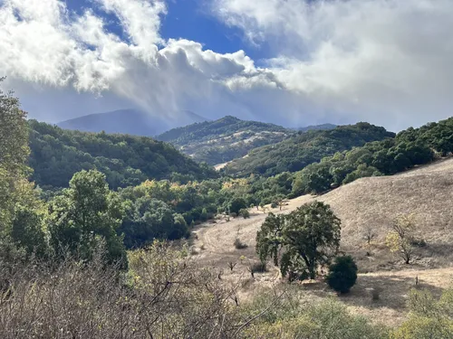 10 Best Hikes and Trails in Calero County Park | AllTrails