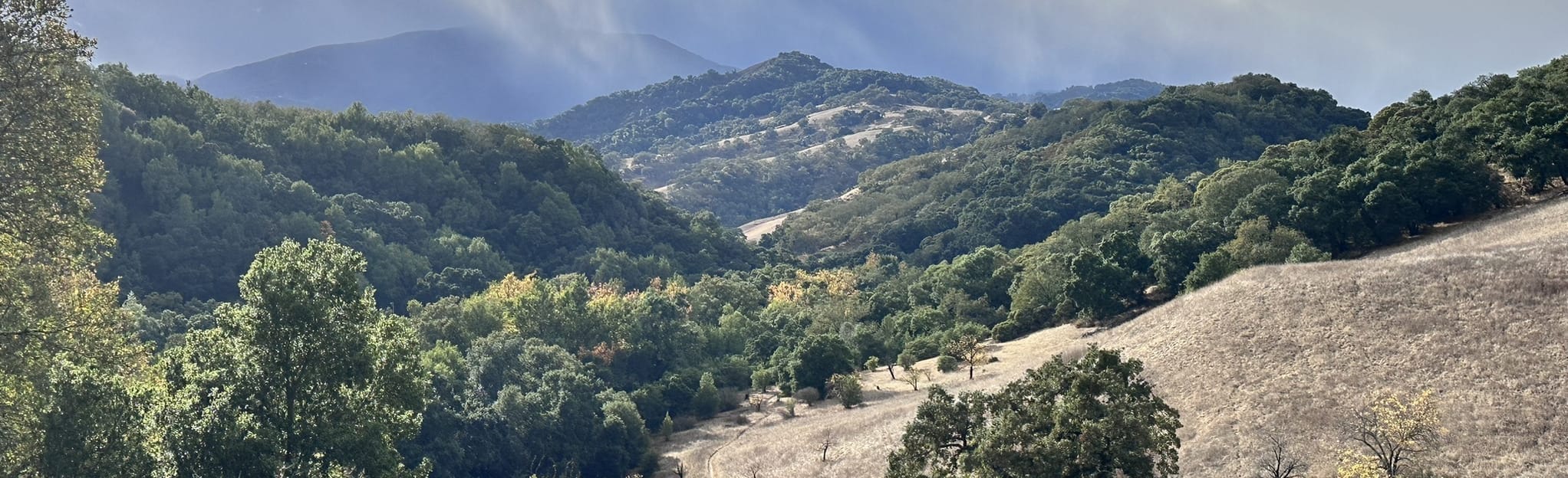 Bald Peaks Trail to Serpentine Loop, California - 311 Reviews, Map ...