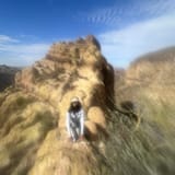 Battleship Mountain Scramble, Arizona - 873 Reviews, Map | AllTrails