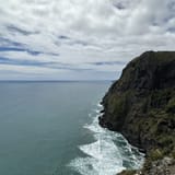 Mercer Bay Loop Track, Auckland, New Zealand - 494 Reviews, Map | AllTrails