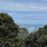 Mercer Bay Loop Track, Auckland, New Zealand - 494 Reviews, Map | AllTrails