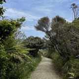 Mercer Bay Loop Track, Auckland, New Zealand - 494 Reviews, Map | AllTrails