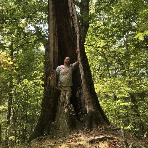 Best Hikes and Trails in Old Stone Fort State Archaeological Park ...
