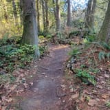 Spirit Trail, British Columbia, Canada - 131 Reviews, Map | AllTrails