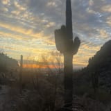 Freedom Trail (#302), Arizona - 4,078 Reviews, Map | AllTrails