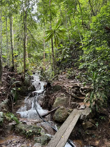 Best Hikes and Trails in Gunung Lambak Recreational Park | AllTrails