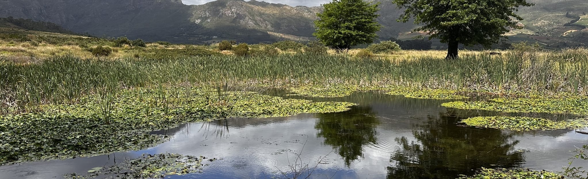 Banhoek Conservancy Waterfall Hike, Western Cape, South Africa - 110 ...
