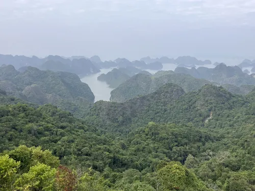 Best 10 Hiking Trails in Cat Ba National Park | AllTrails