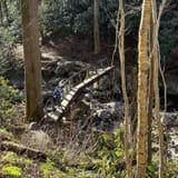 Ramsey Cascades Trail, Tennessee - 2,173 Reviews, Map | AllTrails