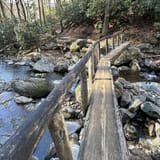 Ramsey Cascades Trail, Tennessee - 2,173 Reviews, Map | AllTrails