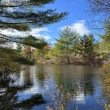 Blue Job Mountain Loop, New Hampshire - 1,892 Reviews, Map | AllTrails