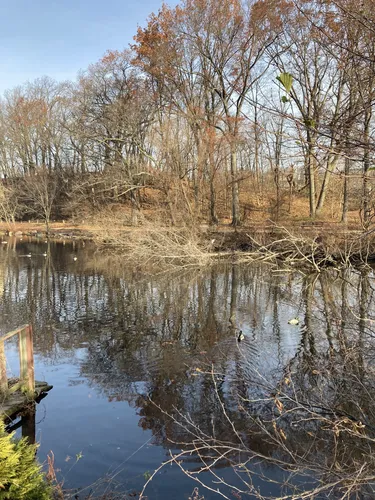 Best Hikes and Trails in Clove Lakes Park | AllTrails
