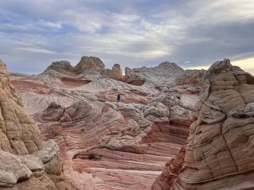 Best Walking Trails in Vermilion Cliffs National Monument | AllTrails
