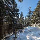 Mount Ascutney via Weathersfield Trail, Vermont - 1,318 Reviews, Map ...