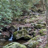 Sill Branch Falls, Tennessee - 709 Reviews, Map | AllTrails
