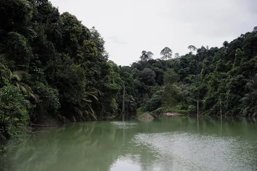 Best 10 Hiking Trails in Sungai Long Hill Park | AllTrails