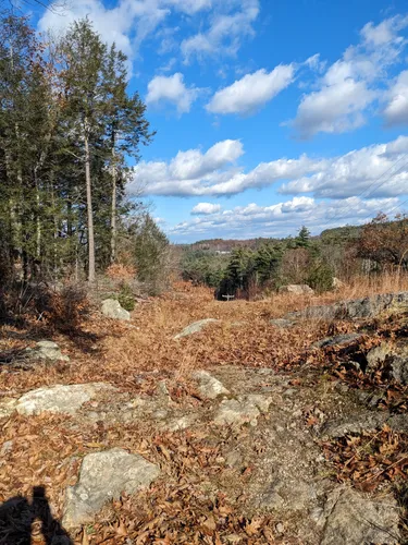 Best Hikes and Trails in Russell-Abbott State Forest | AllTrails