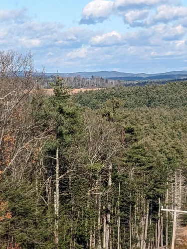 Best Hikes and Trails in Russell-Abbott State Forest | AllTrails